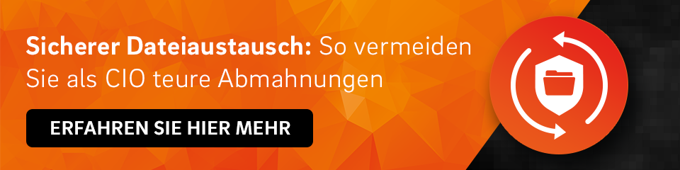 IT-Notfallplan nach BSI: Ein Leitfaden für Unternehmen